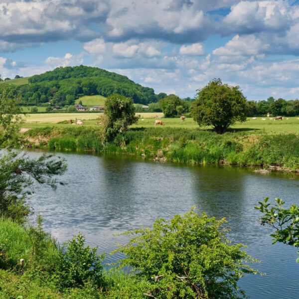 Products Label | Aquabac FG, Aquabac XT, Aquabac WDG 3000 - Becker ...