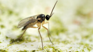 Becker Microbial Products, Inc. | Biotechnology research since 1985